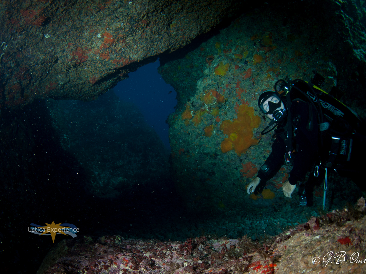 The Cave Zone | Ustica Diving